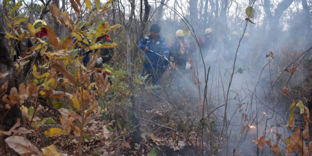 Bolivia’s forest fires and the rise of beef exports – North Carolina ...